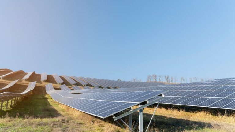 Avaada Group: Leading Renewable Energy Company in India